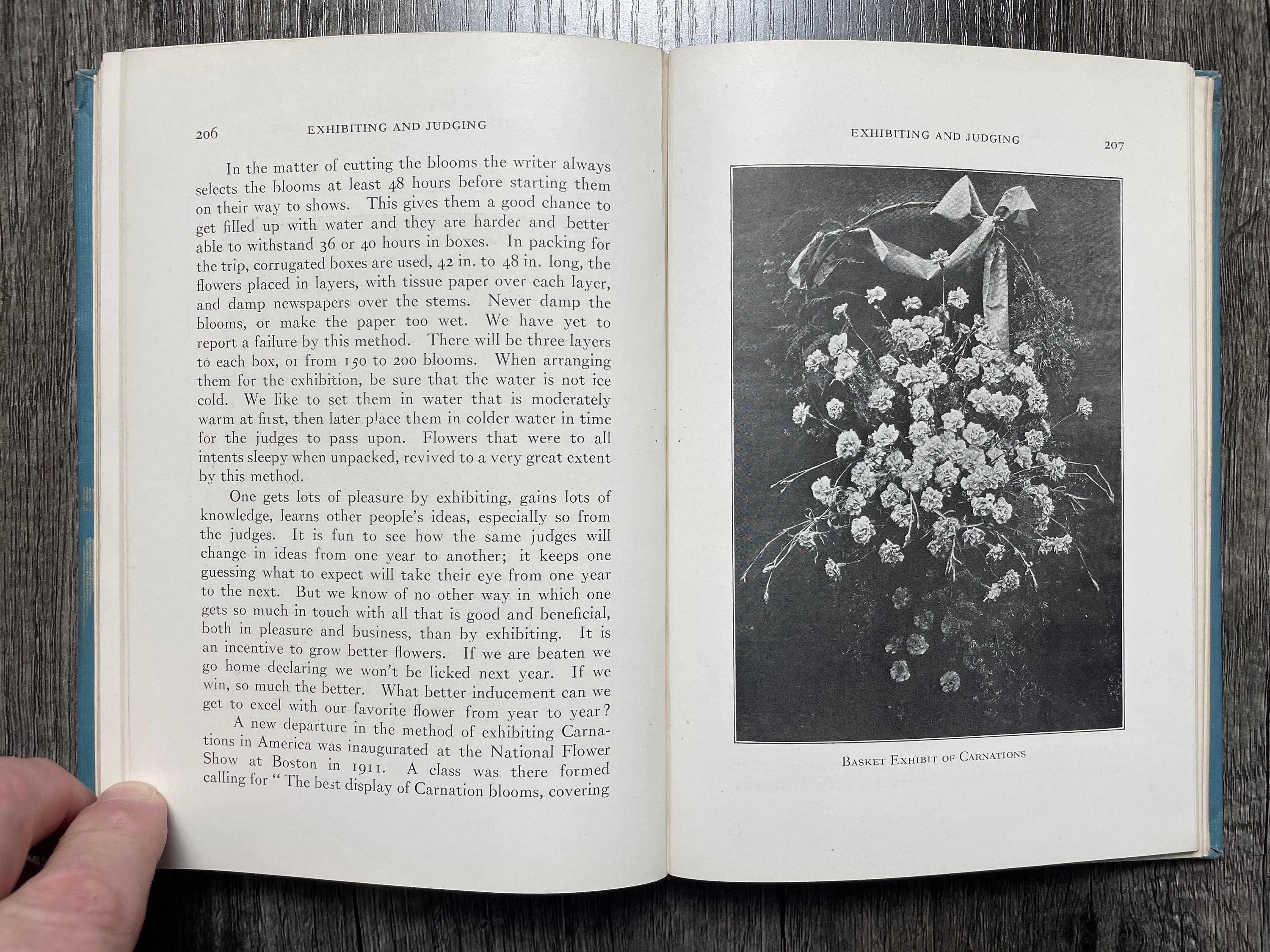 Vintage Flower Book How to Grow Carnations Flower Book - Etsy