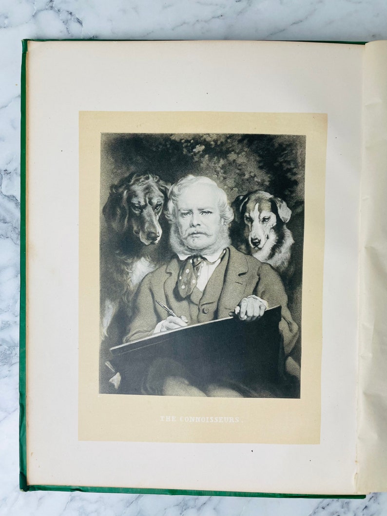 Vintage Deer Book Engravings From Landseer A Sketch of the Life and ...