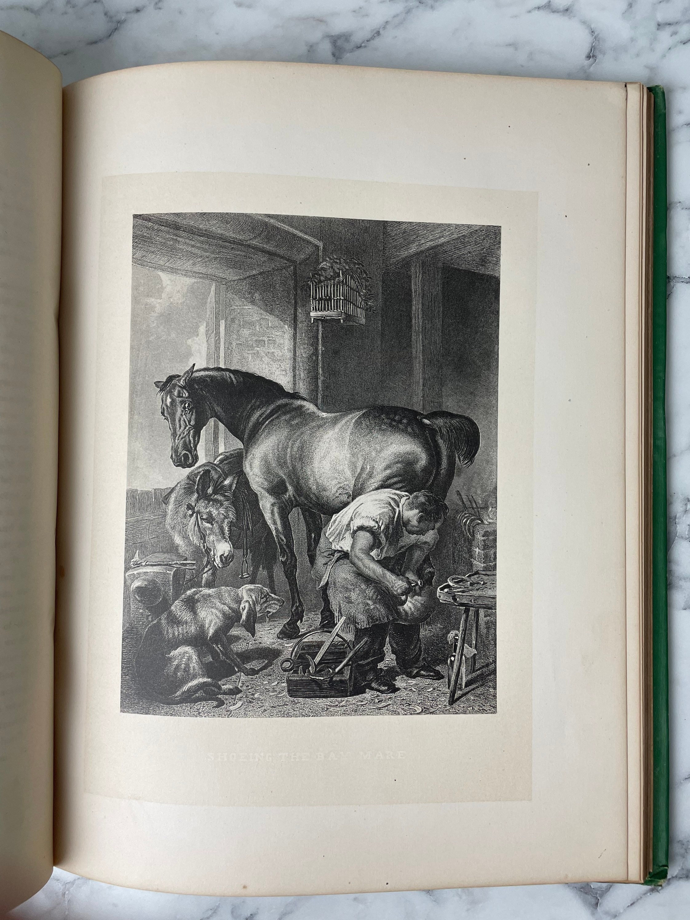 Vintage Deer Book Engravings From Landseer A Sketch of the Life and ...