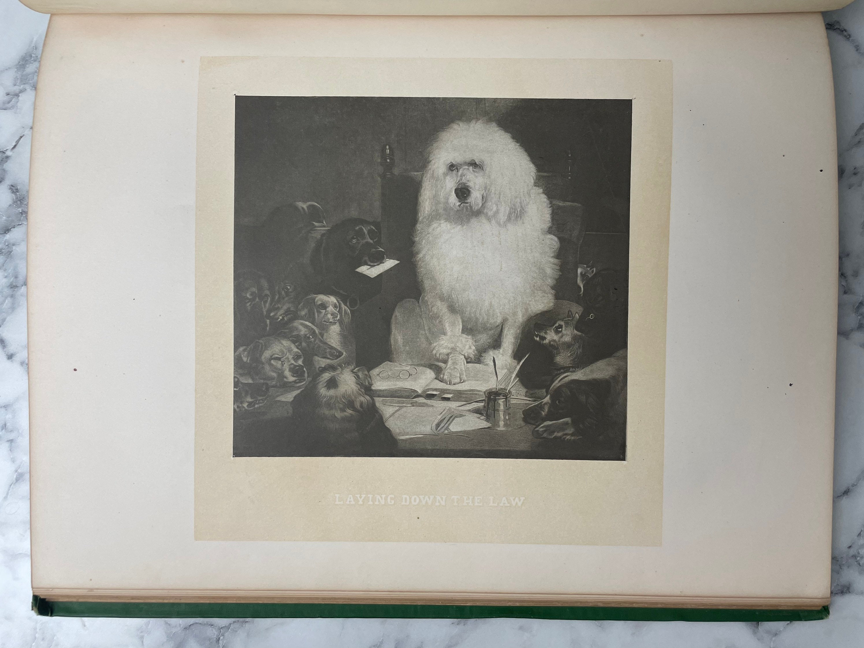 Vintage Deer Book Engravings From Landseer A Sketch of the Life and ...