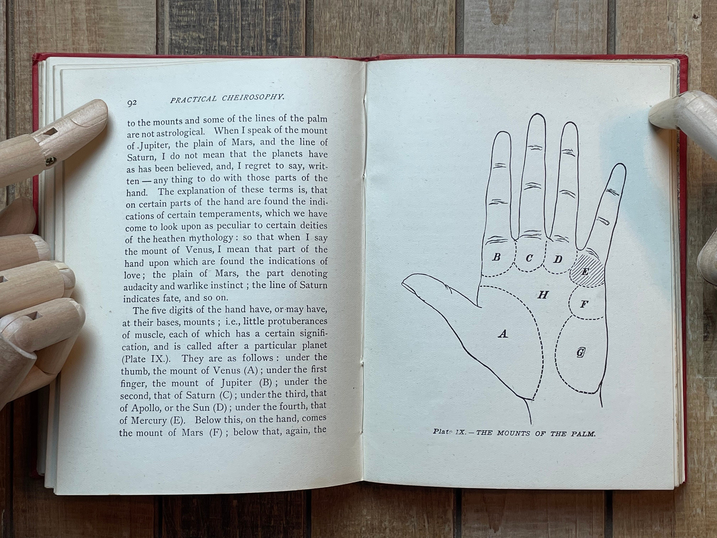 How to Read Palms Vintage Palmistry Occult Book 1887 Practical ...