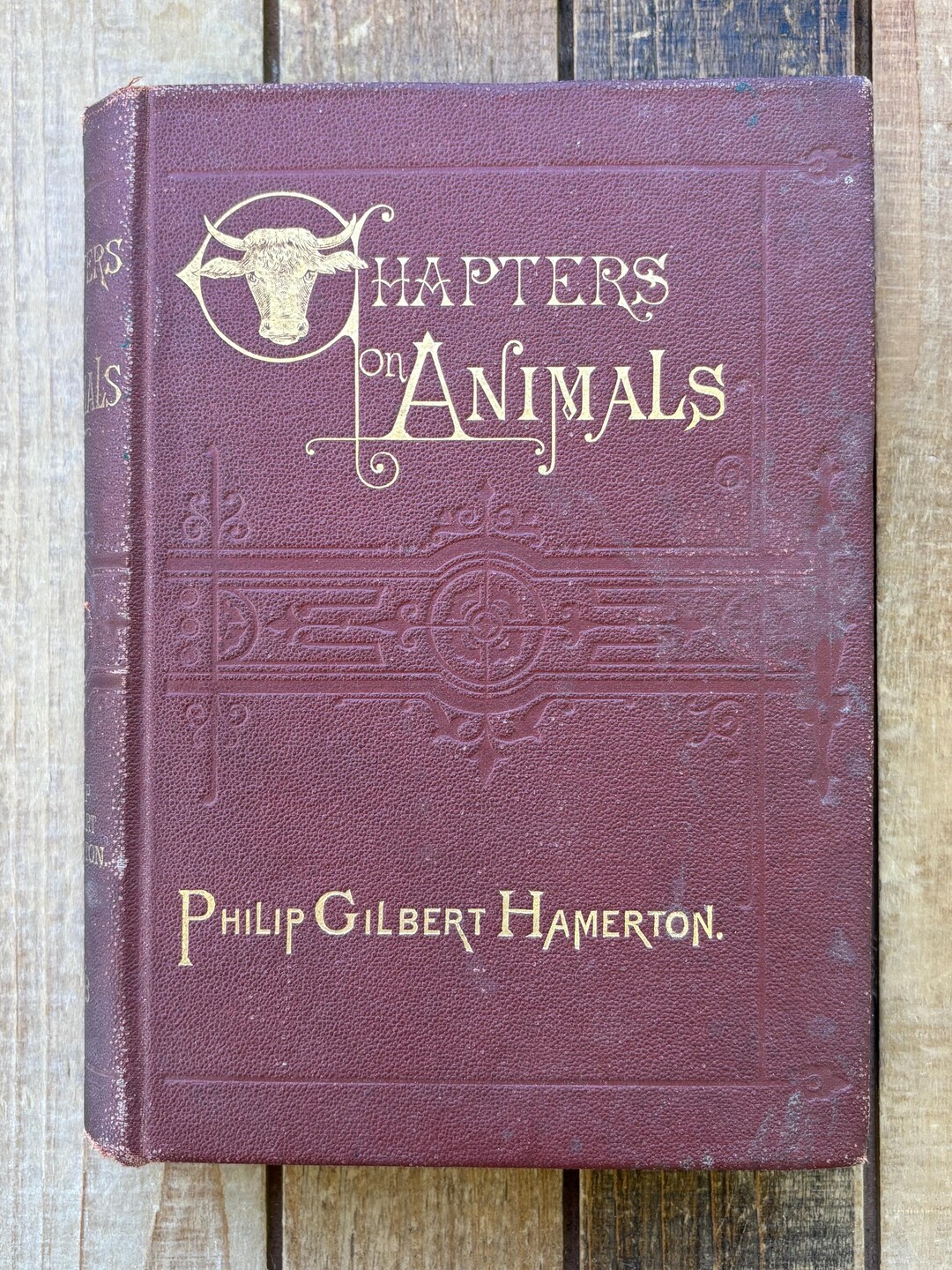 Illustrated Book of Animals on Birds Cats Dogs and Horses 1874 Chapters ...