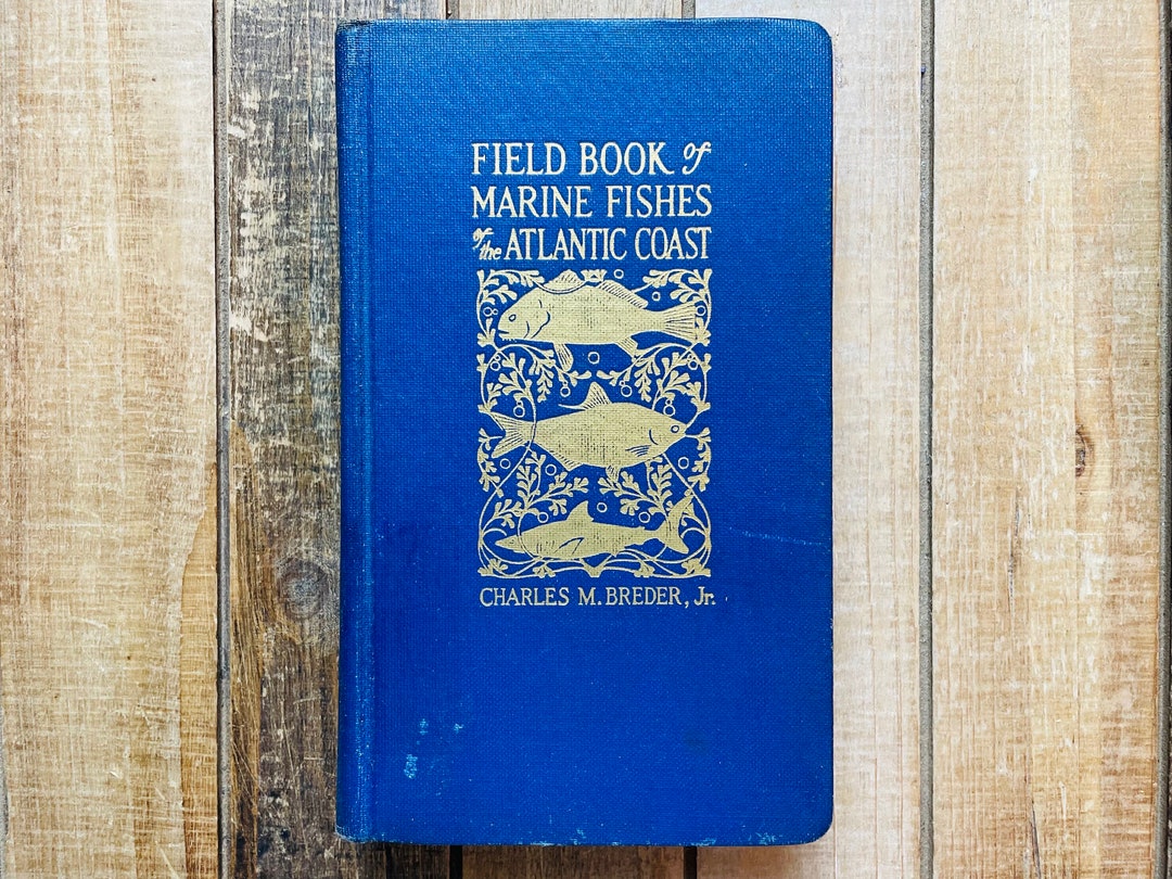 Vintage Ocean Salt Water Fishing Fish Book Illustrated 1929 Field Book ...