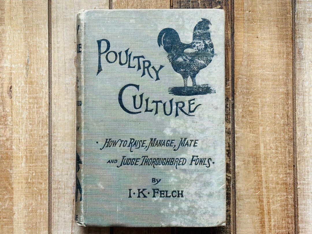 Vintage Poultry Farming Illustrated How to Guide Book of Raising ...