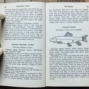 Vintage Bass Fishing Fresh Water Fish Book Illustrated 1938 Field Book ...