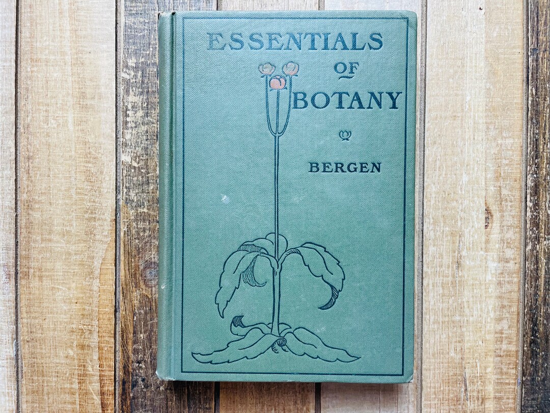 Vintage Wildflower Flowers Herbal Florist Plants and Trees Illustrated ...