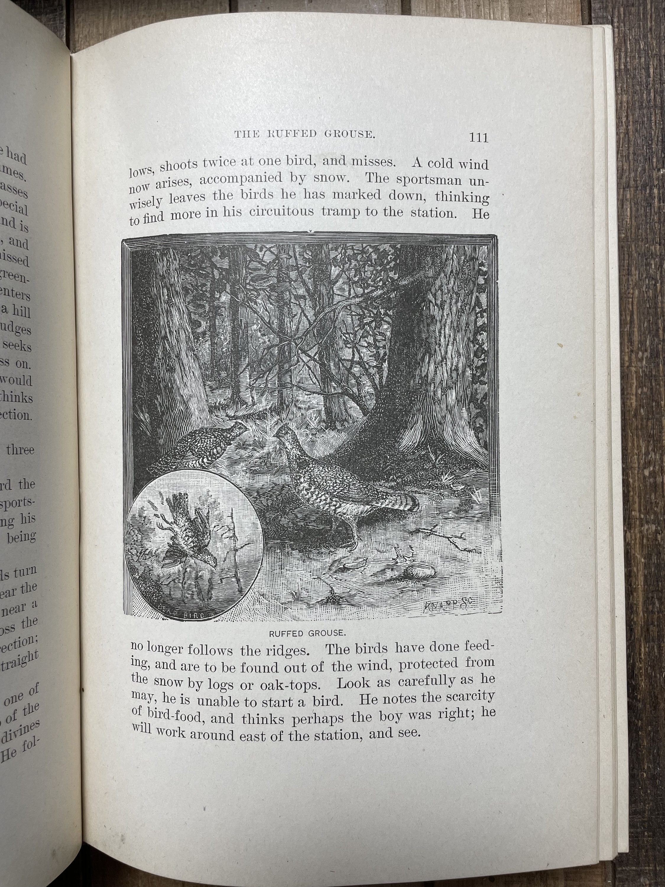 Vintage Hunting Book 1890 Shooting on Upland Marsh and Stream Vintage ...