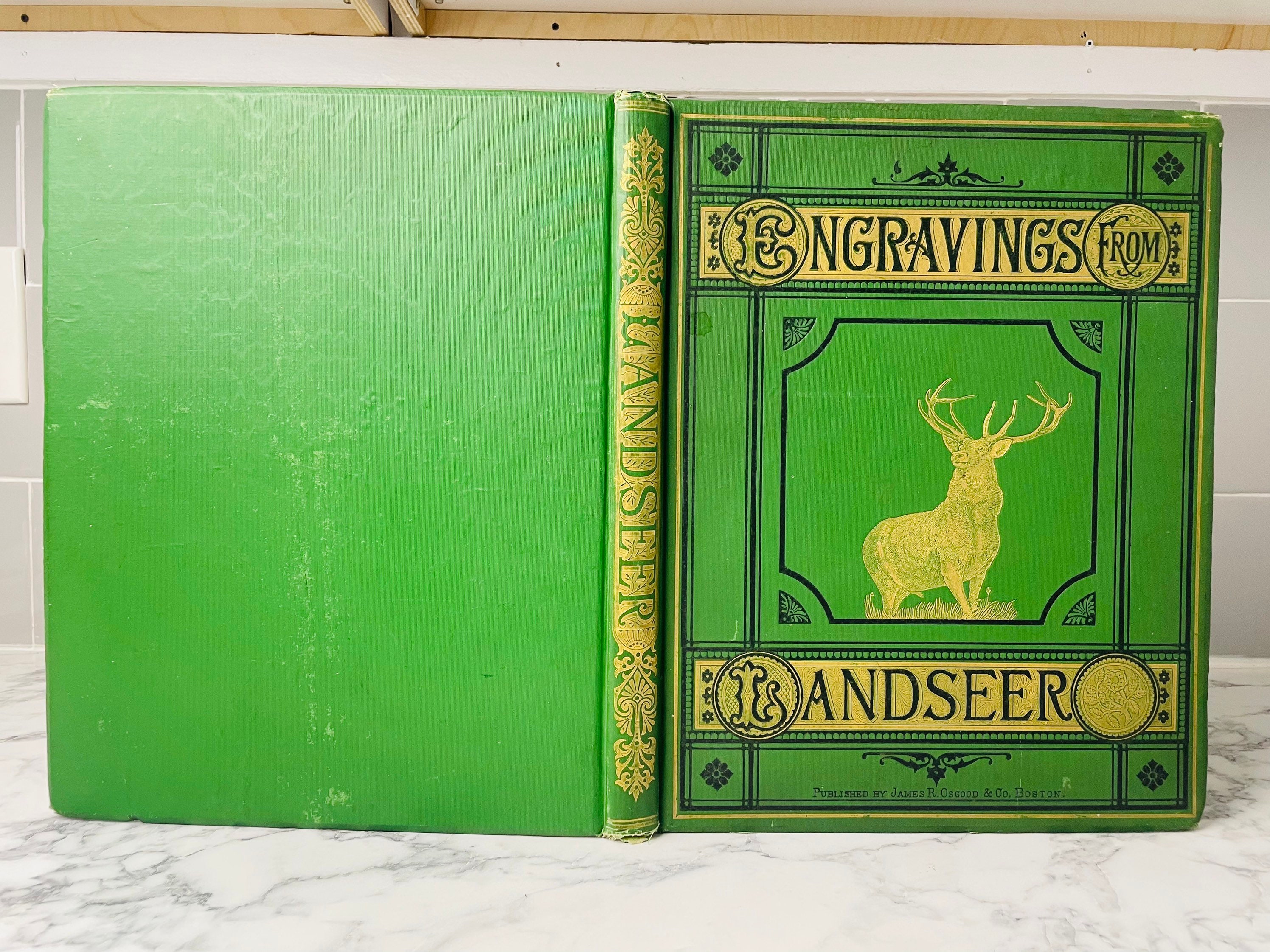 Vintage Deer Book Engravings From Landseer A Sketch of the Life and ...