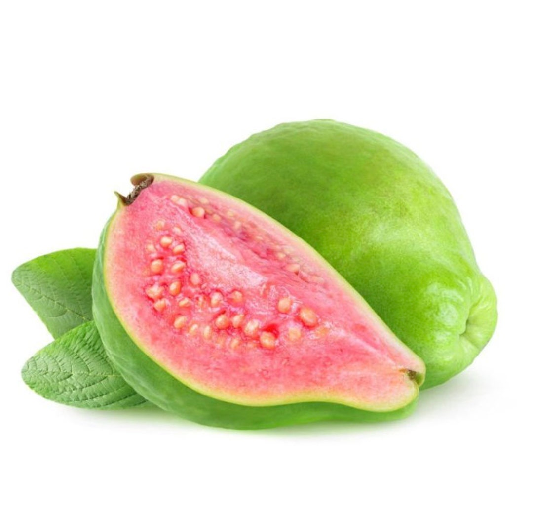 Thai Guava - Red - 5 LBS - the Actual Fruit - Etsy