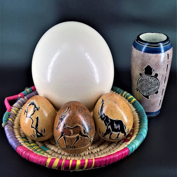 Ostrich Egg Shells - Etsy