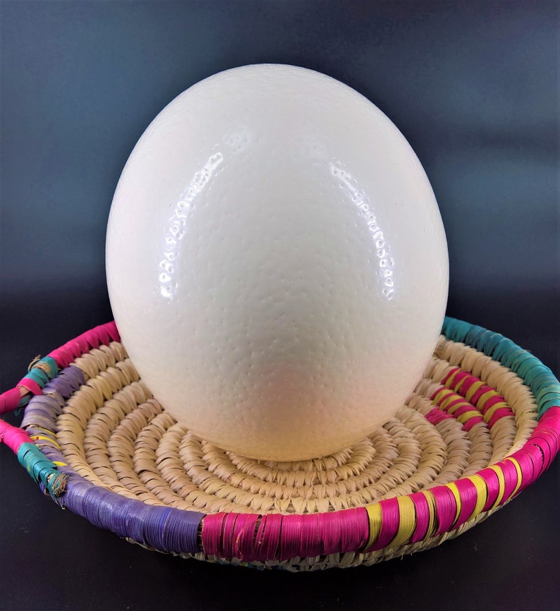 African Soap Stone Ostrich Egg Shell Plain, African Painted Ostrich Egg ...