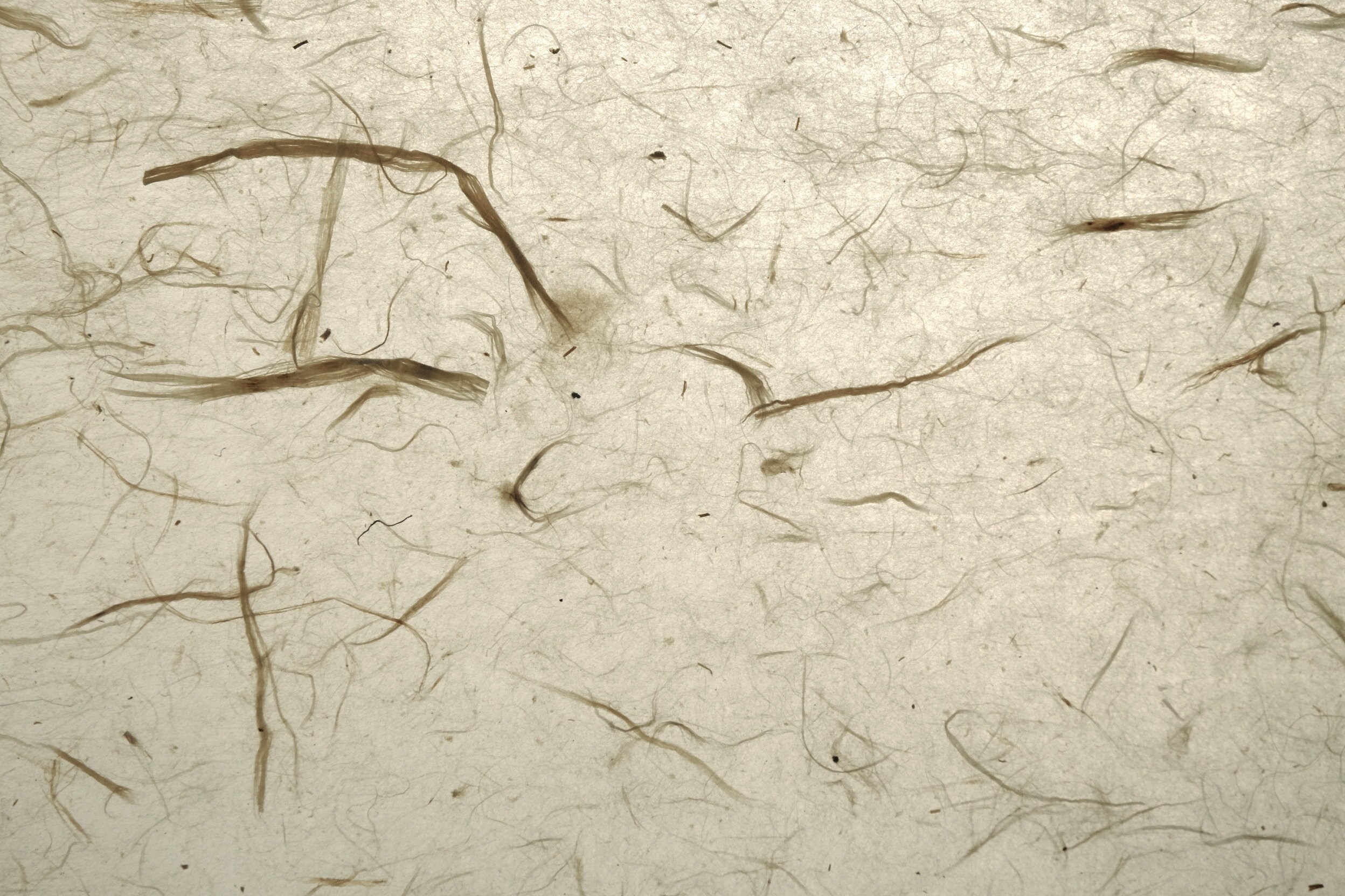 Japanese Paper Washi chiri Iri Unryu Mulberry - Etsy