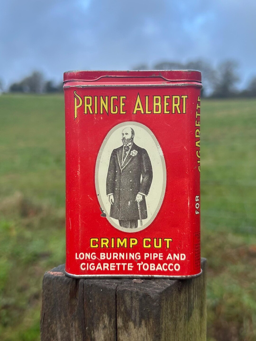 Vintage 'prince Albert' Vertical Crimp Cut Tobacco Vesta Tin - Etsy