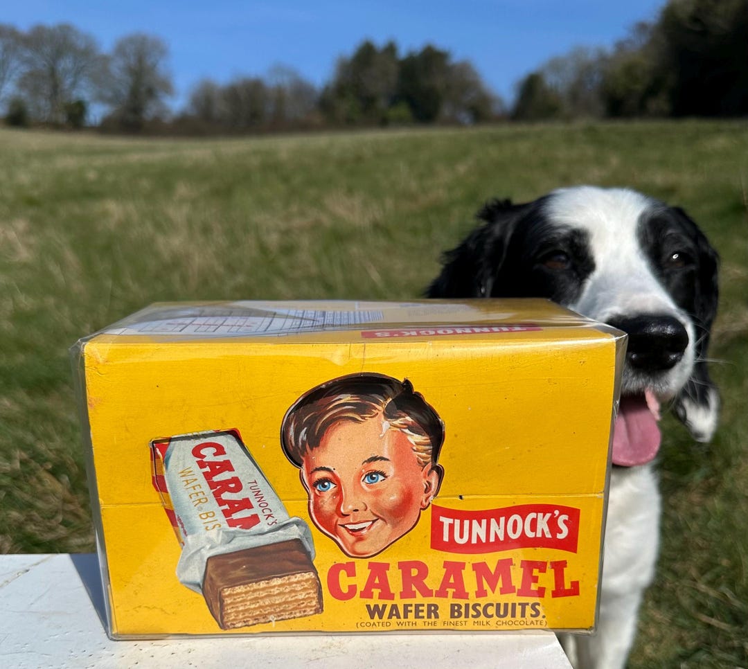 Vintage Tunnock's Caramel Biscuits Shop Display Box - Etsy