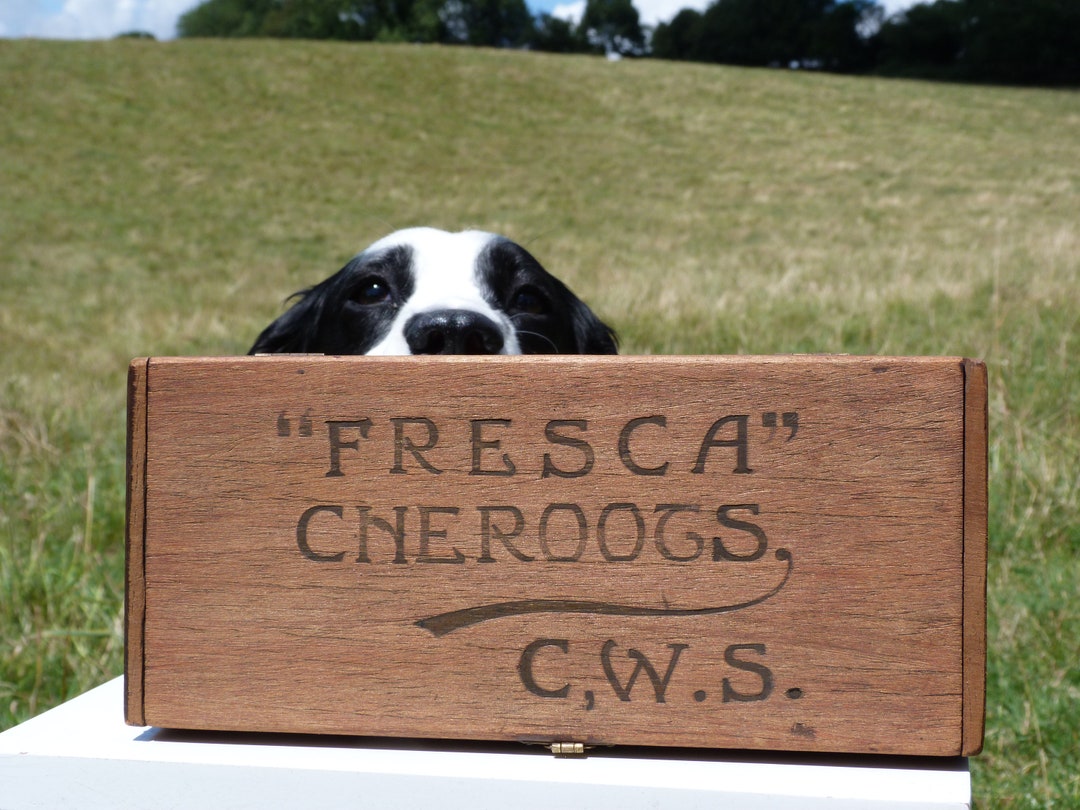 Vintage CWS 'fresca' Cheroots Wooden Cigar Box - Etsy