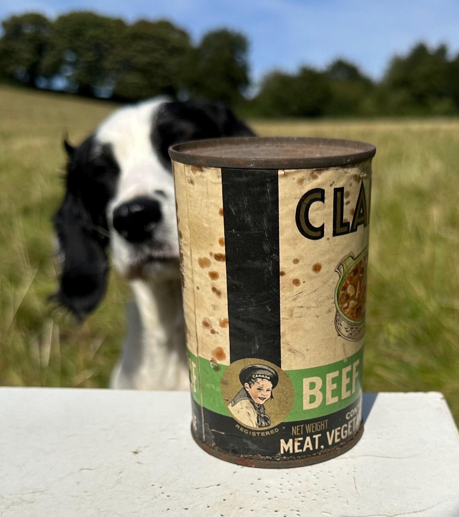Vintage Clark's Beef Stew Old Advertising Shop Display Tin - Etsy