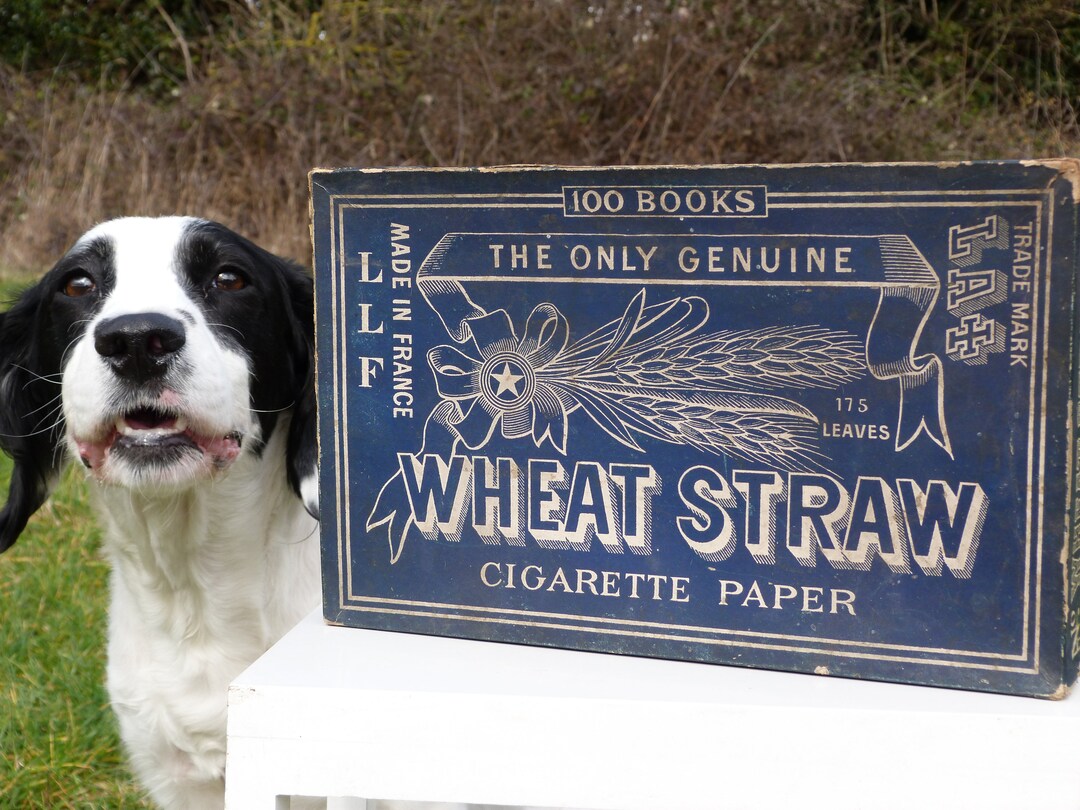 Rare Vintage 'wheat Straw' Books of Cigarette Papers Shop Counter Box ...