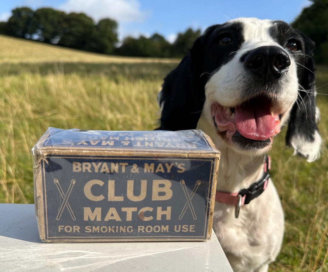 Rare Bryant & May's club Match Display Box - Etsy UK