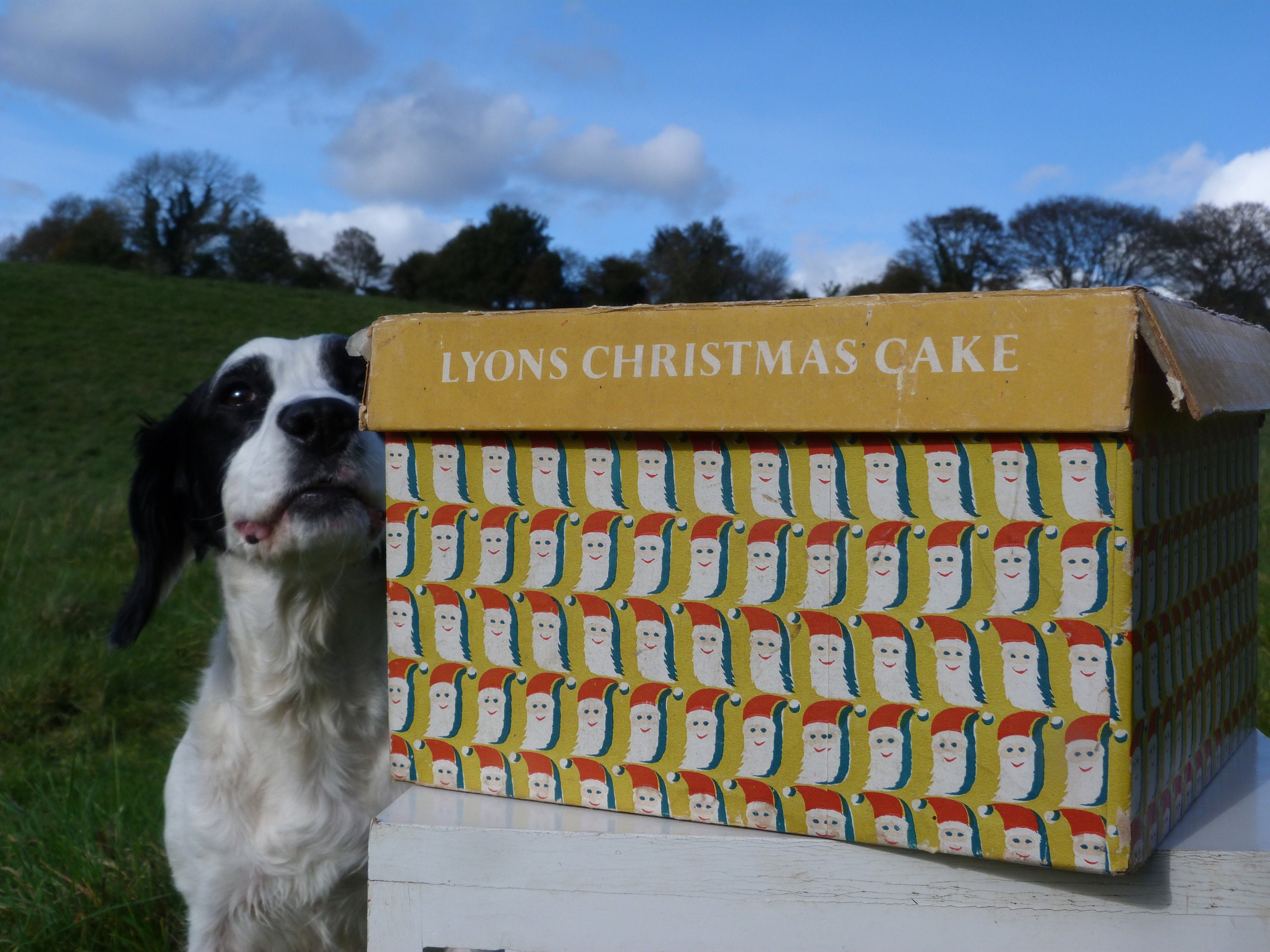 Vintage Lyons Christmas Cake Box - Etsy