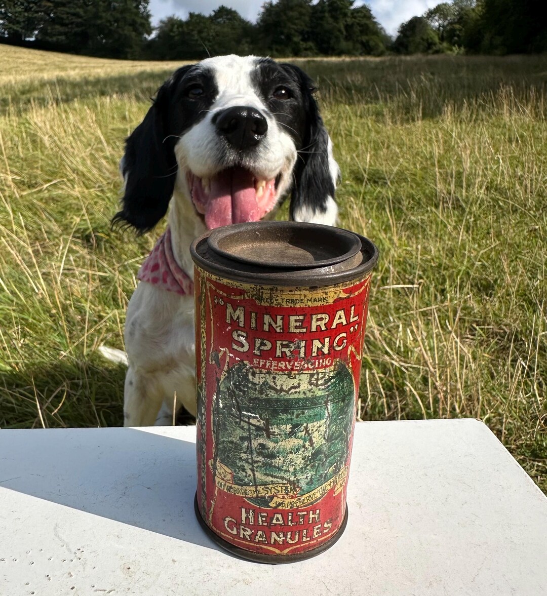 Rare Antique 'mineral Spring' Health Granules Tin (bardsley) - Etsy
