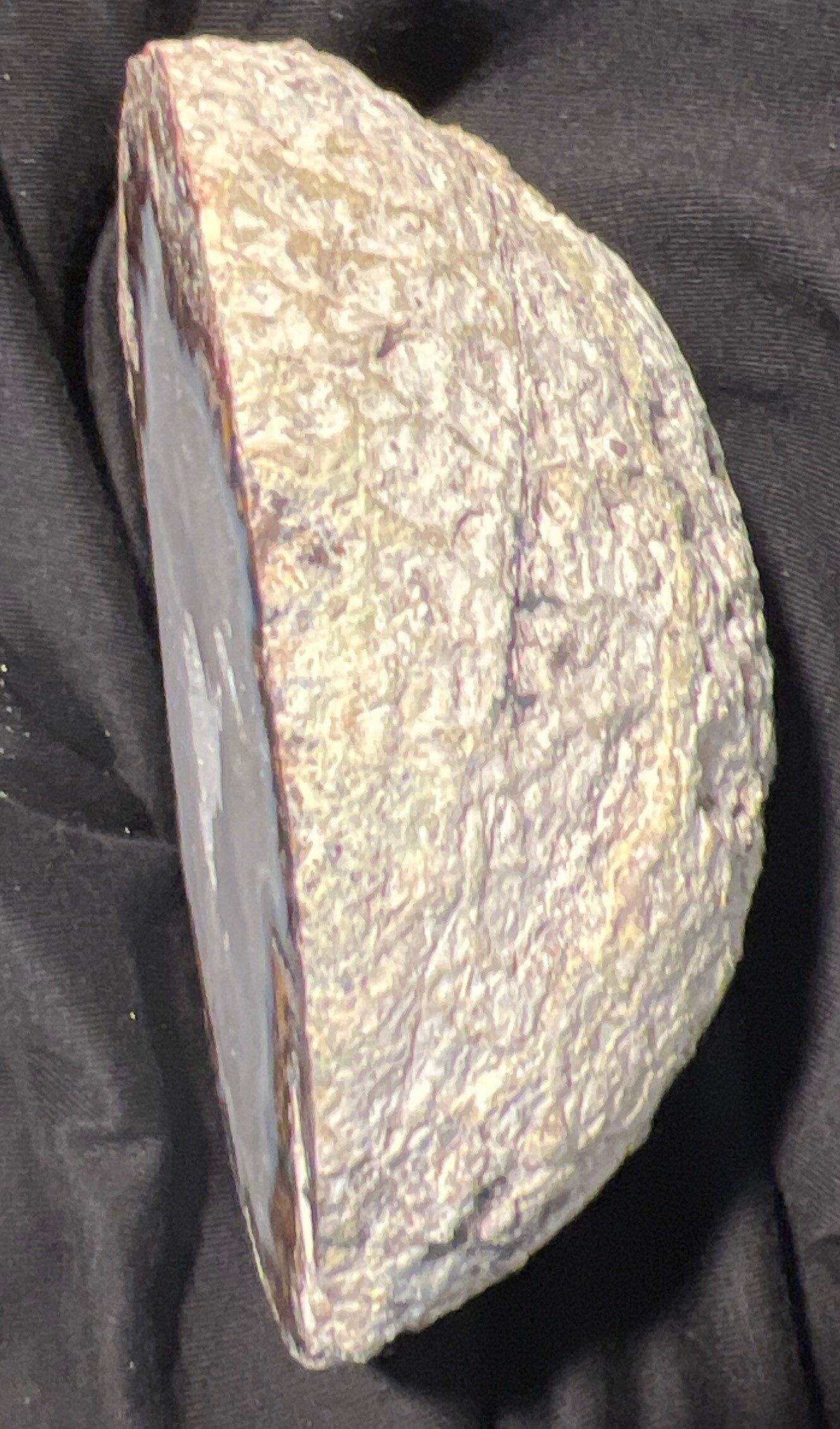 Mexican Coconut Geode - Etsy