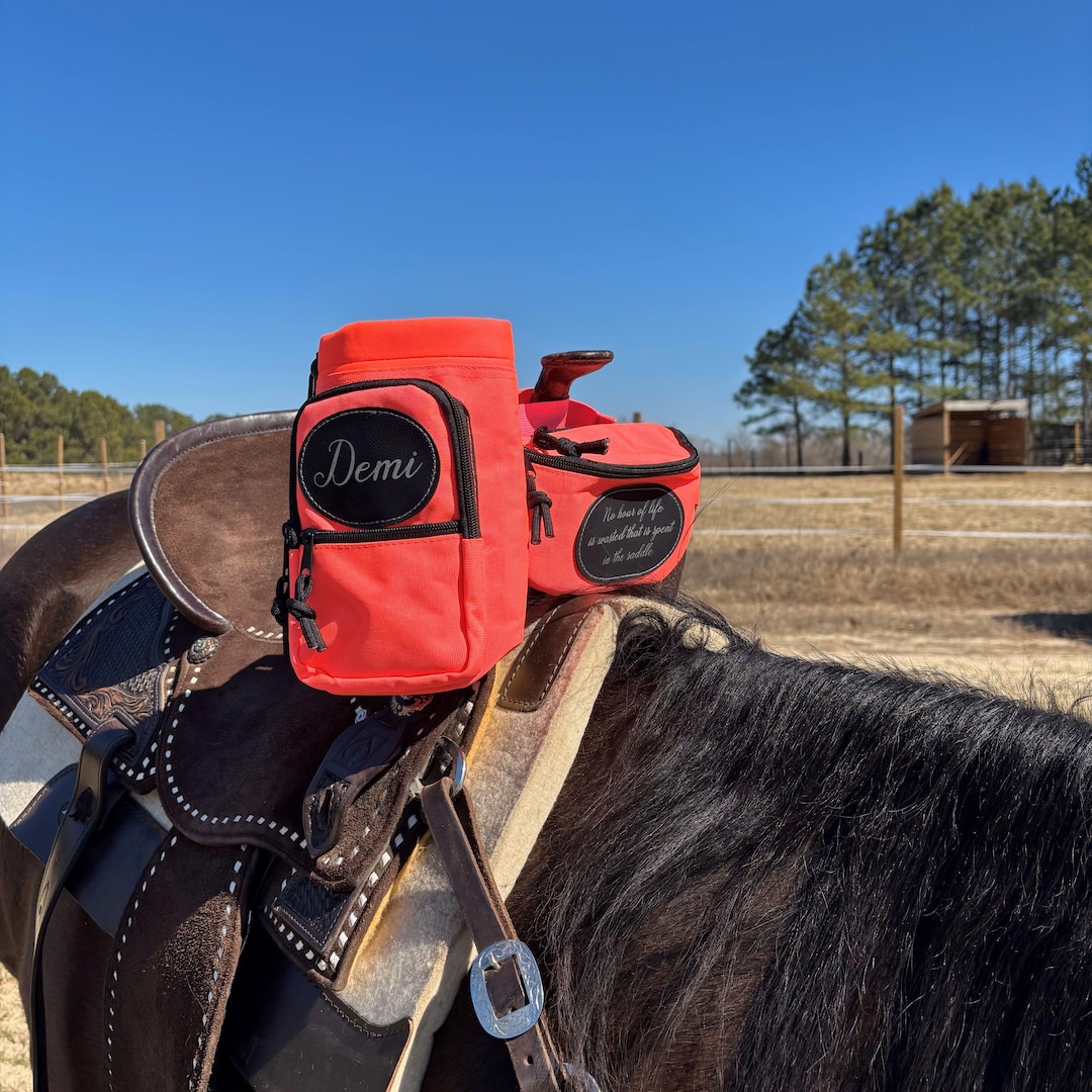 Personalized Horse Saddle Pink Pommel Bag & Bottle Holder Set, Horse ...