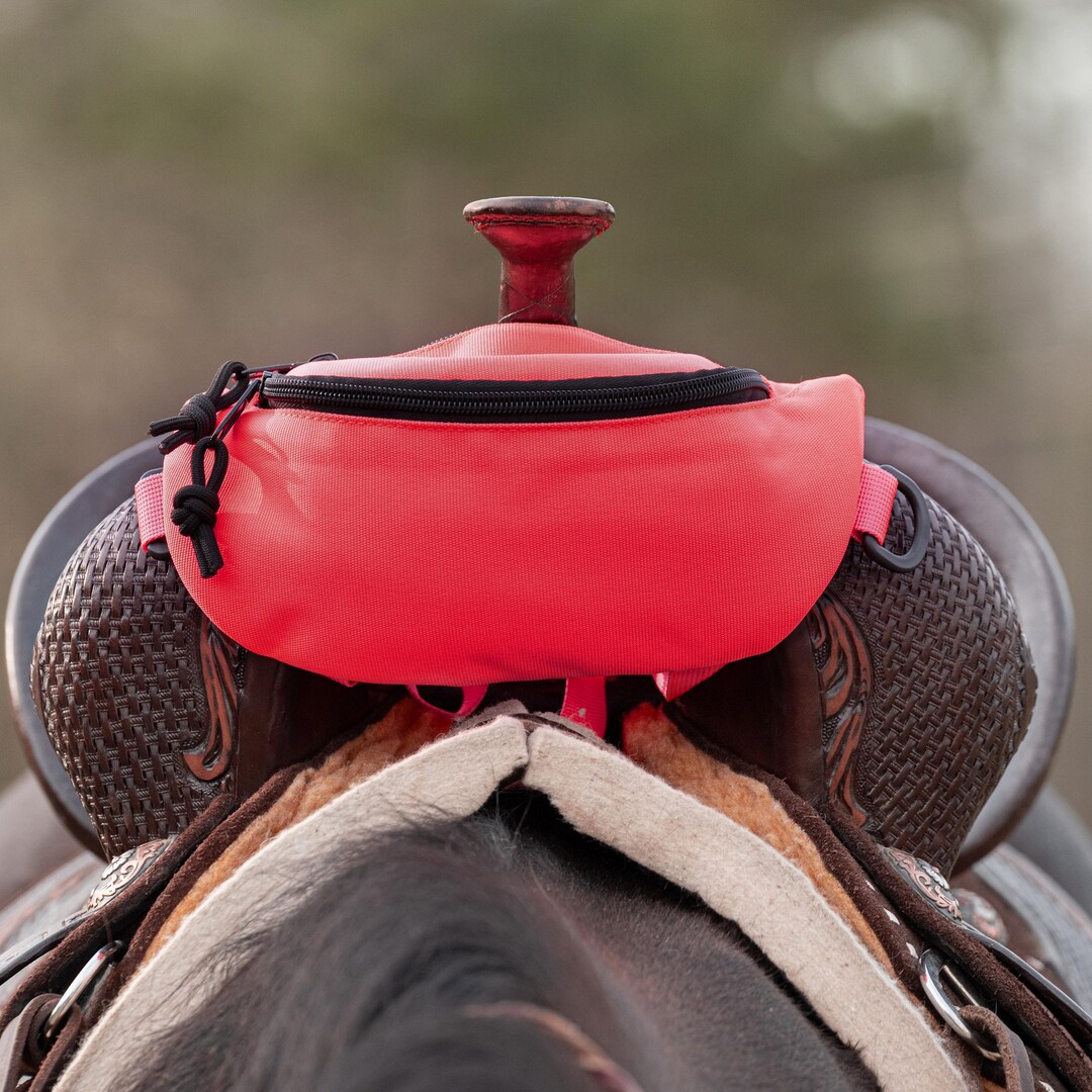 Horse Saddle Bag, Pink Pommel Bag Horse Saddle, Horse Tack, Horse Gifts ...