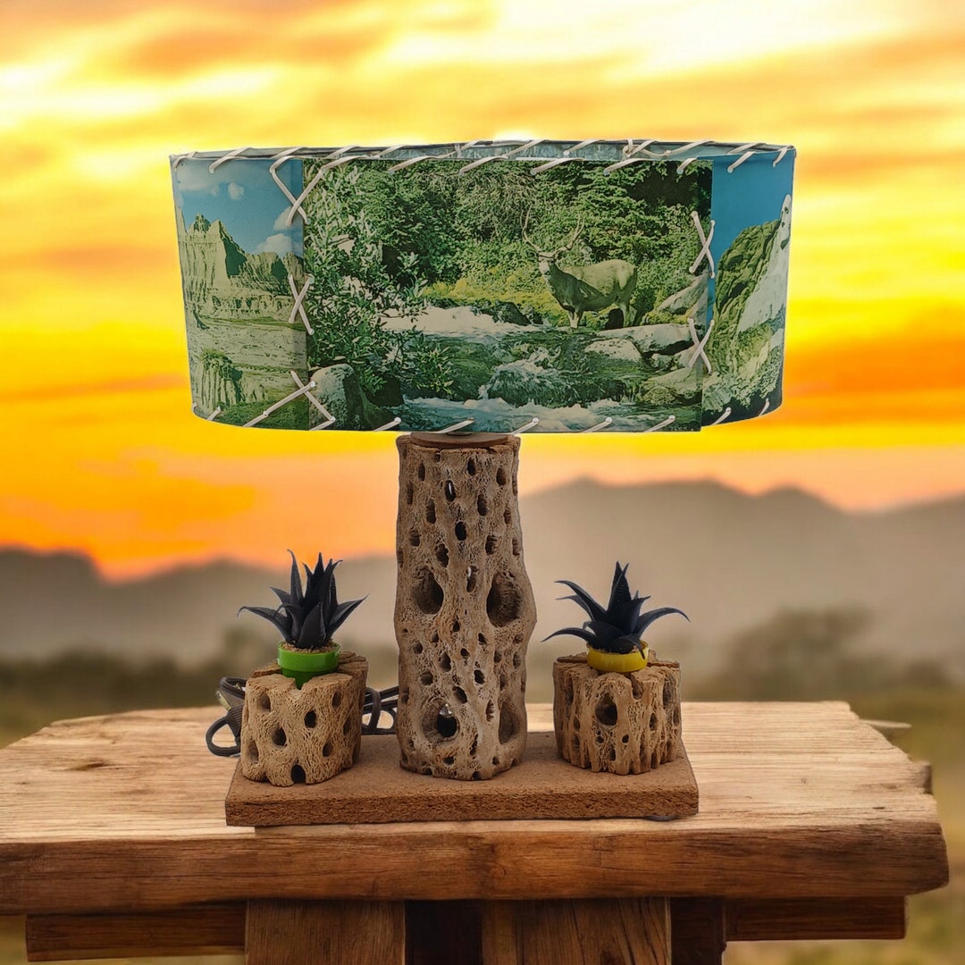 Vintage Cholla Lamp With Shade - Etsy