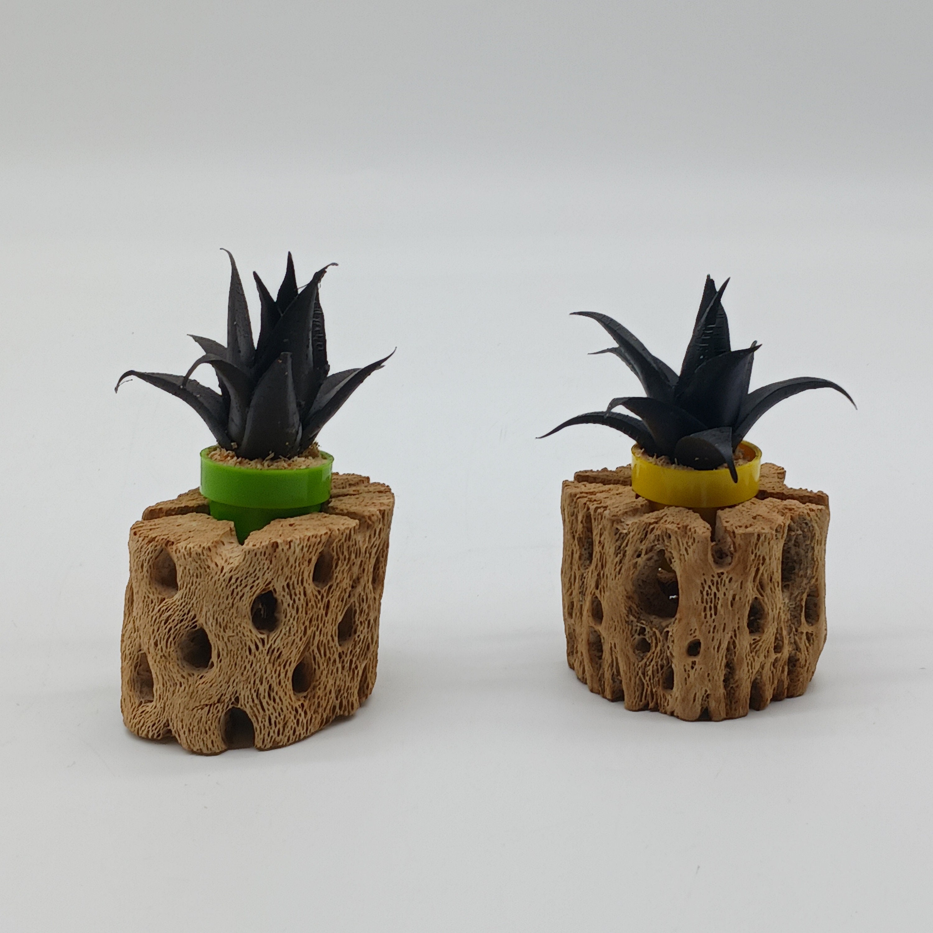 Vintage Cholla Lamp With Shade - Etsy