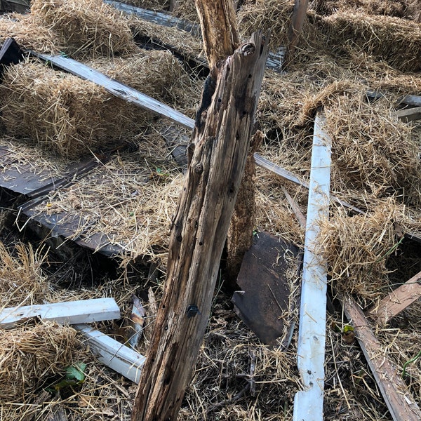 Cedar Fence Post - Etsy