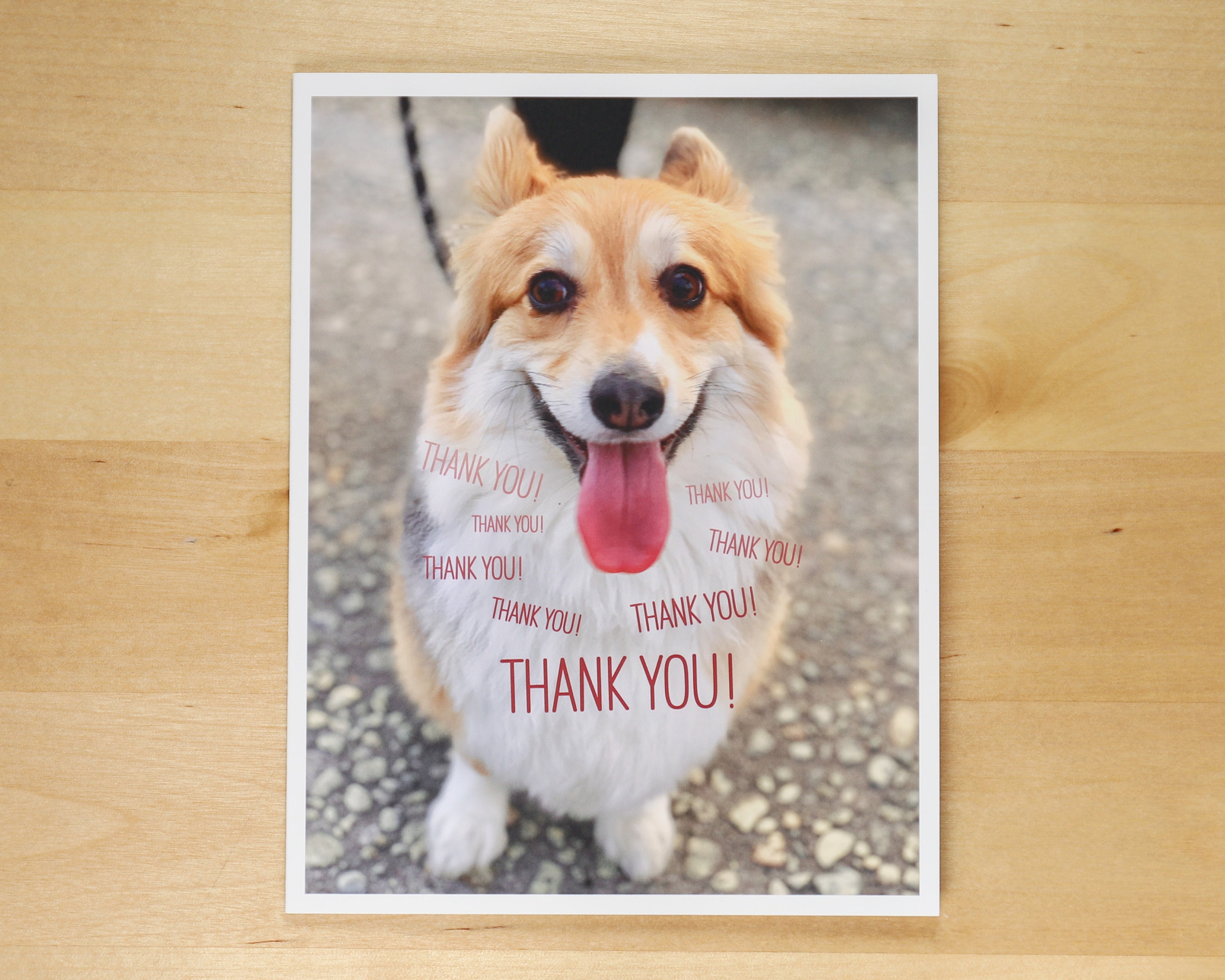 Corgi Thank You Note Cards 8 Card A2 Set - Etsy