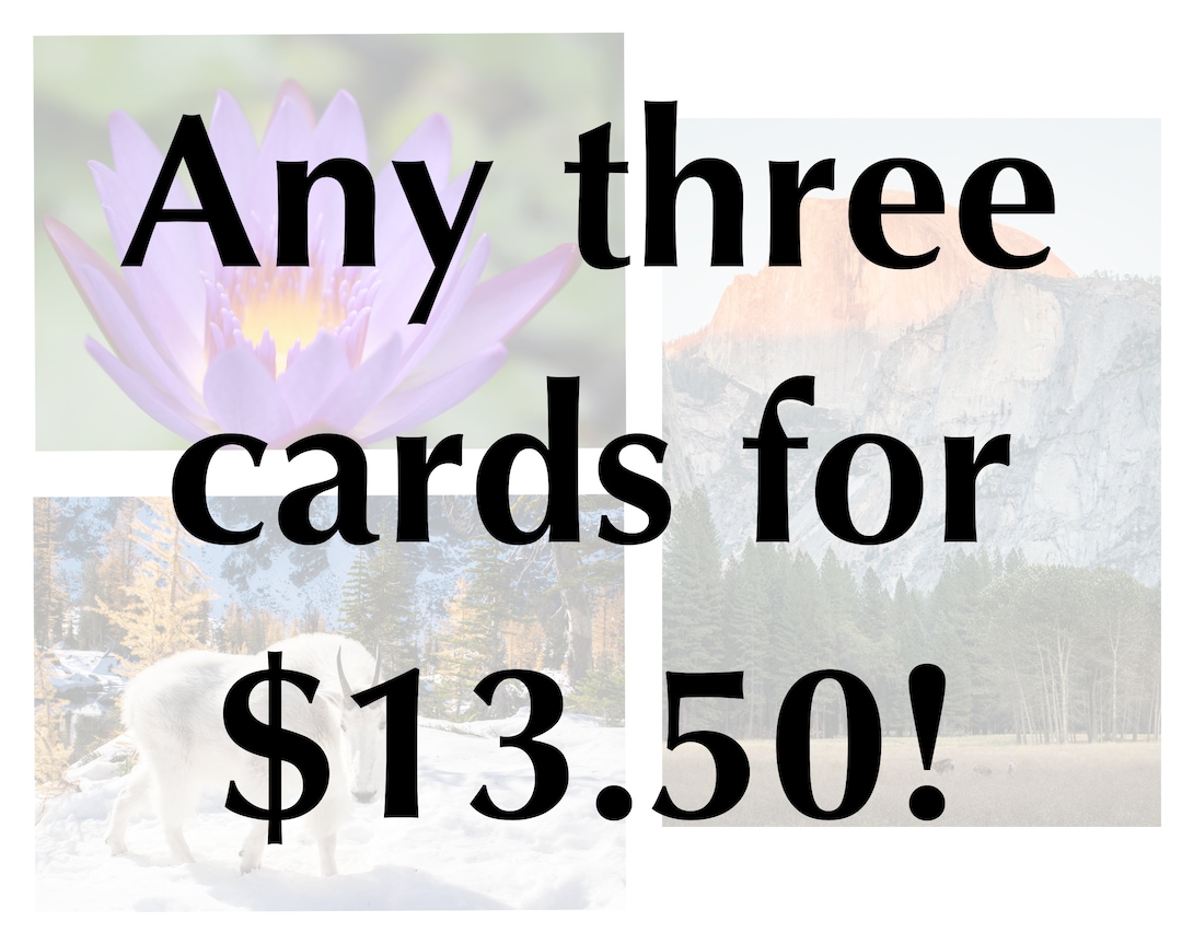 Choose Any Three Cards, Mix and Match, Greeting Card Bundle - Etsy