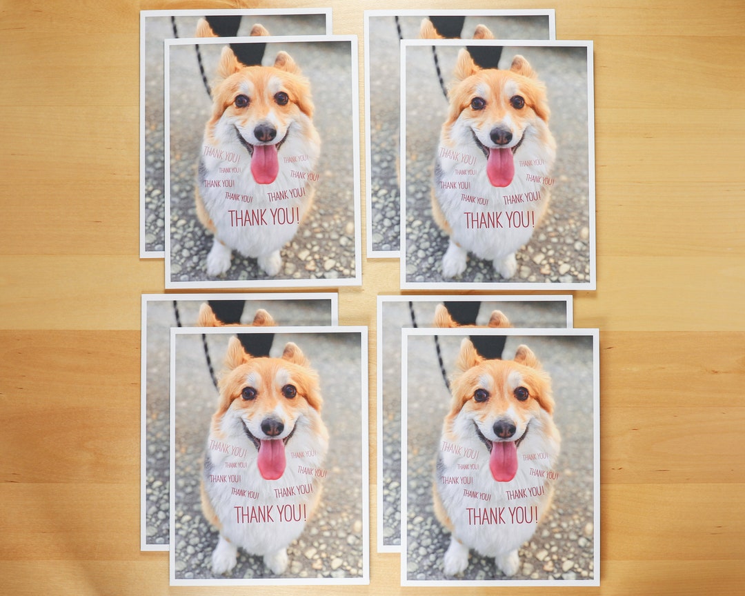Corgi Thank You Note Cards 8 Card A2 Set - Etsy