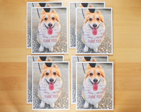 Corgi Thank You Note Cards 8 Card A2 Set | Etsy
