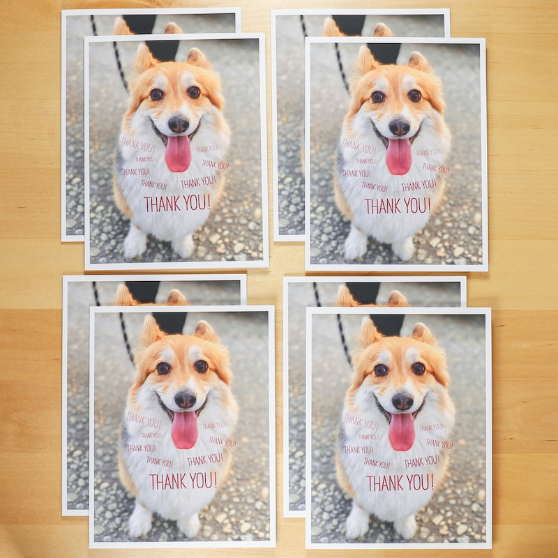 Dog Thank You Note - Etsy