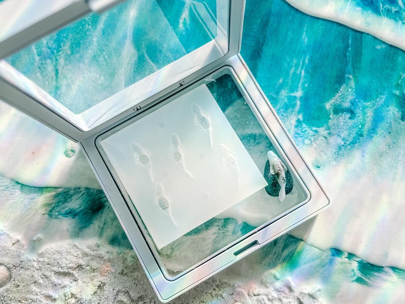 Clear 3D Koi Fish Nail Art Mold | Silicone Mold for UV Gel, Resin and ...