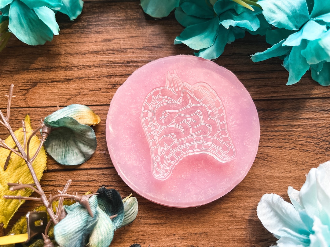 Anatomical Intestines Badge Reel Resin Mold • Silicone Mold for Epoxy ...