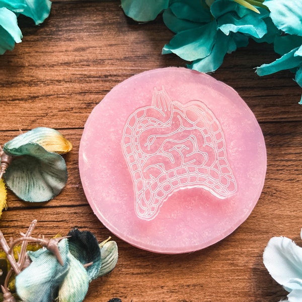 Intestines - Etsy