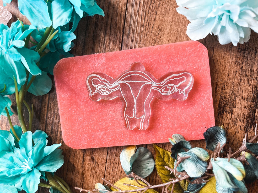 Clear Anatomical Uterus Keychain Mold – Medical Silicone Mold UV Resin ...