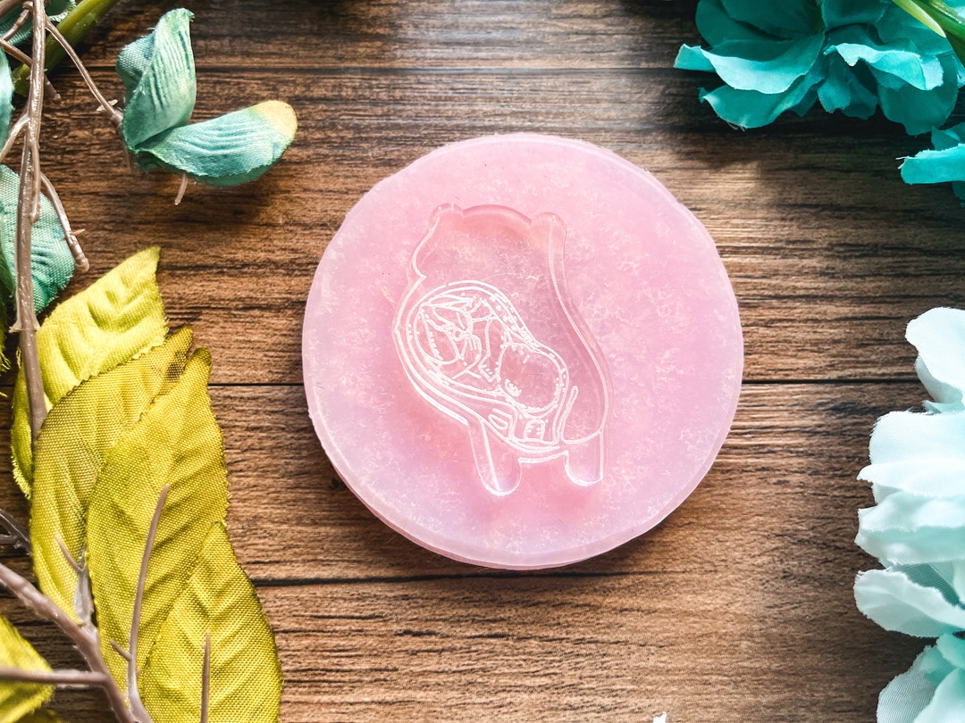 Clear Pregnant Body With Fetus in Womb Badge Reel Mold – Medical ...