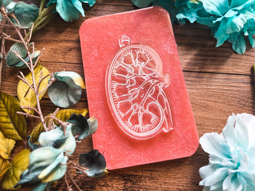 Anatomical Kidney Keychain Resin Mold • Silicone Mold for Epoxy and UV ...