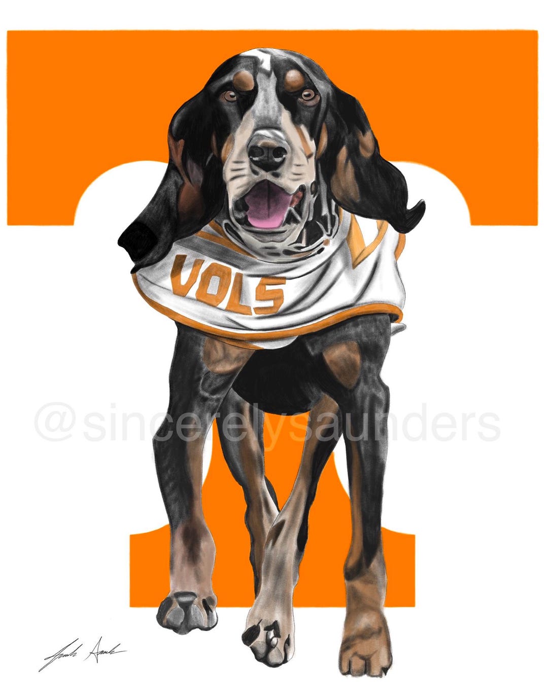 Tennessee Vols Smokey Mascot Drawing - Etsy