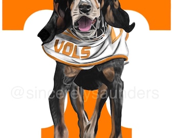 DesignBySaunders - Etsy