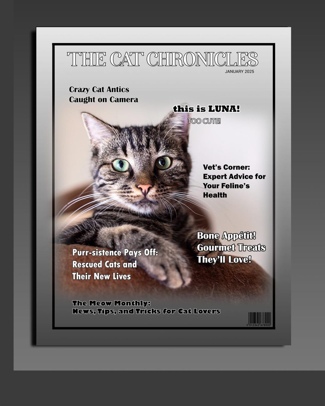 Custom Cat Magazine Cover | Cat Owner | Pet Print | Personalized Print ...