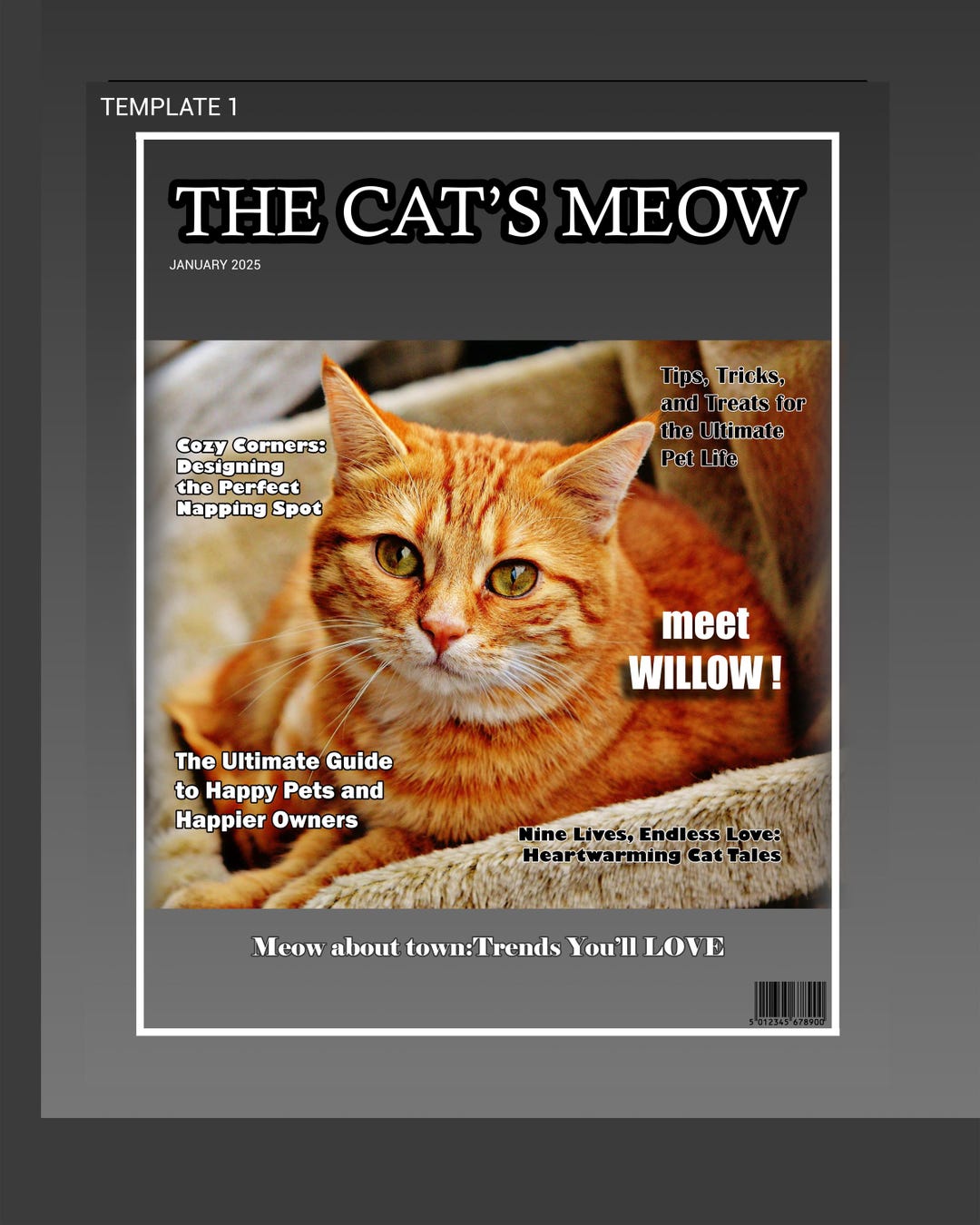 Your Cat Magazine Cover Cat Art Pet Print Personalized Art Print Pet ...