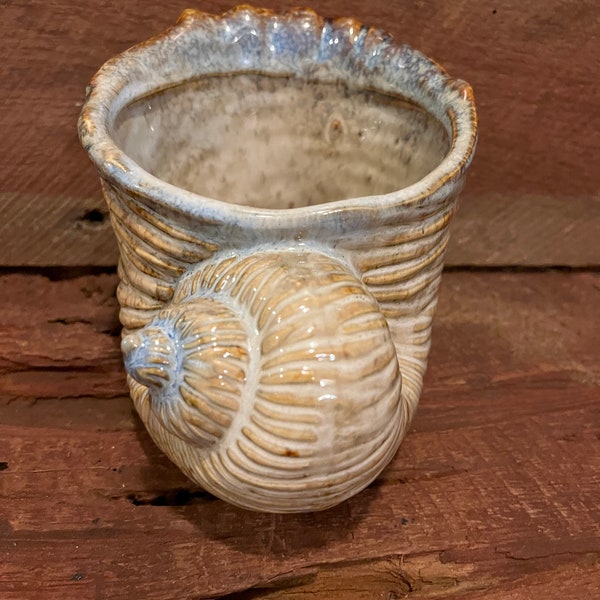 Sea Shell Planters - Etsy