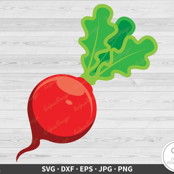 Radish Svg - Etsy