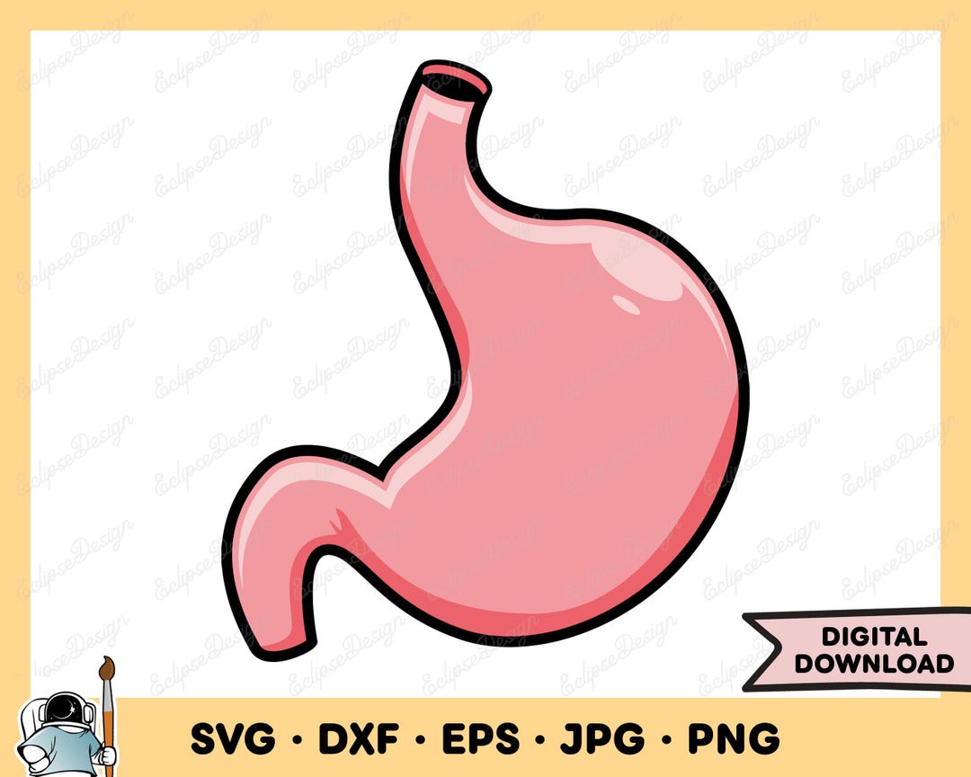 Stomach SVG Stomach PNG Body Medicine Clip Art Cut File Silhouette ...