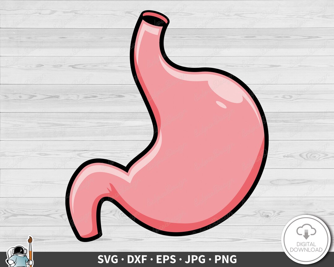 Stomach SVG Body Medicine Clip Art Cut File Silhouette Instant Digital ...