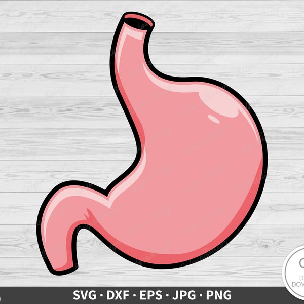 Stomach Svg - Etsy